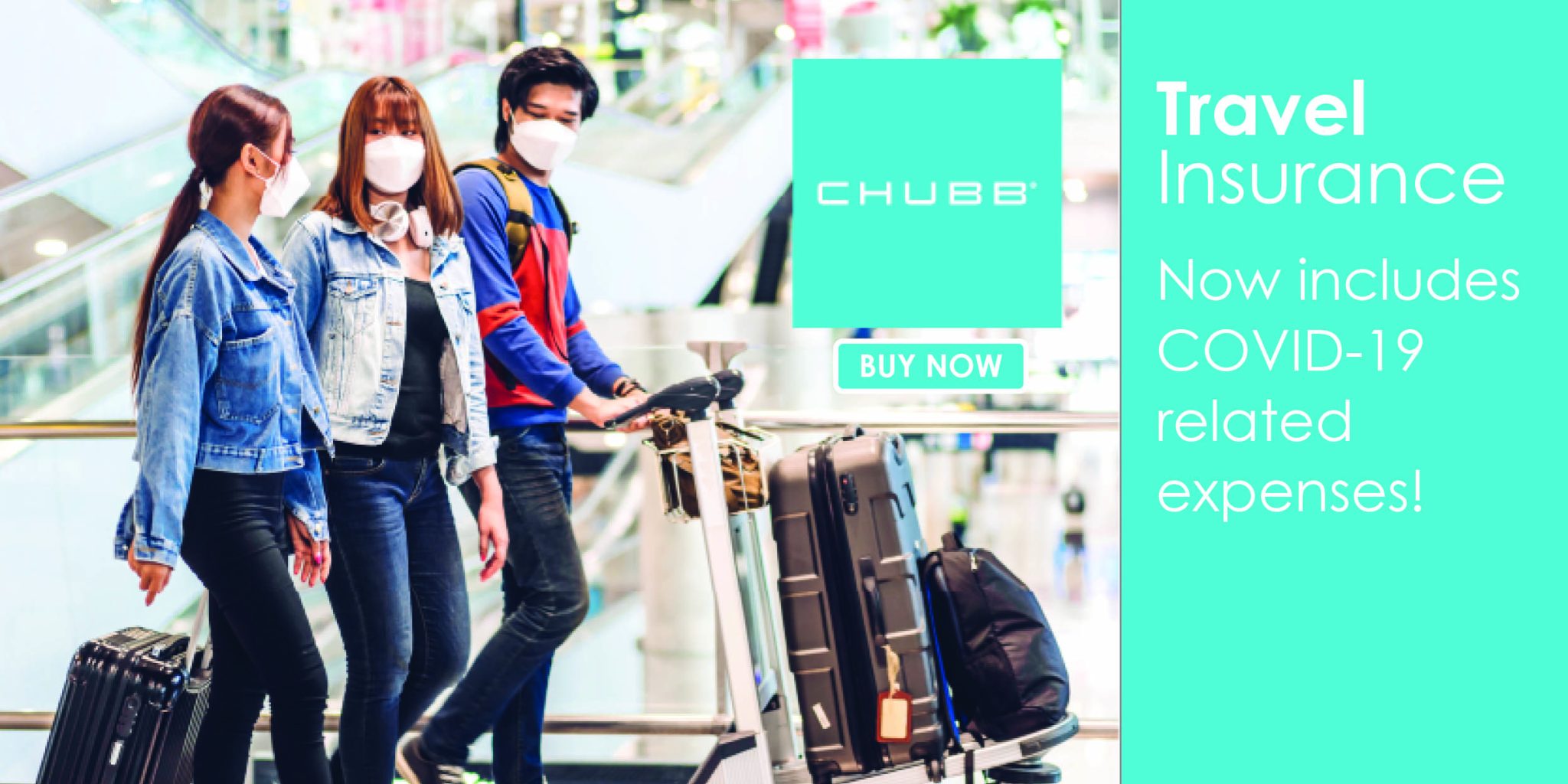 Brilliant Management Services – Road Tax Delivery — Now you are able to ...